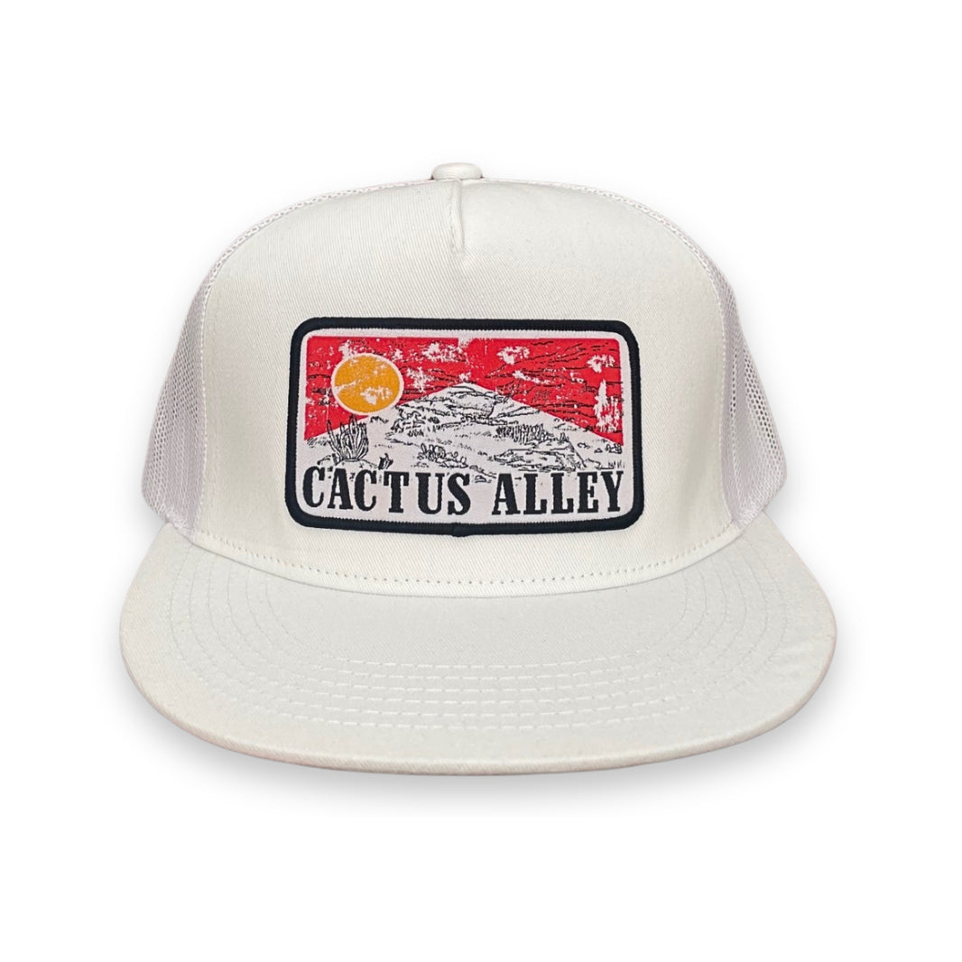 All Caps – Page 2 – Cactus Alley Hat Co.